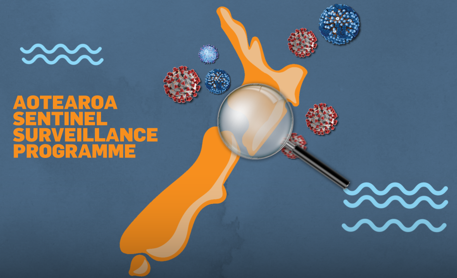 Participate in the respiratory surveillance sentinel programme