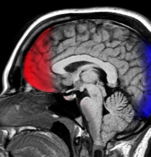 Researchers investigate sideline concussion testing