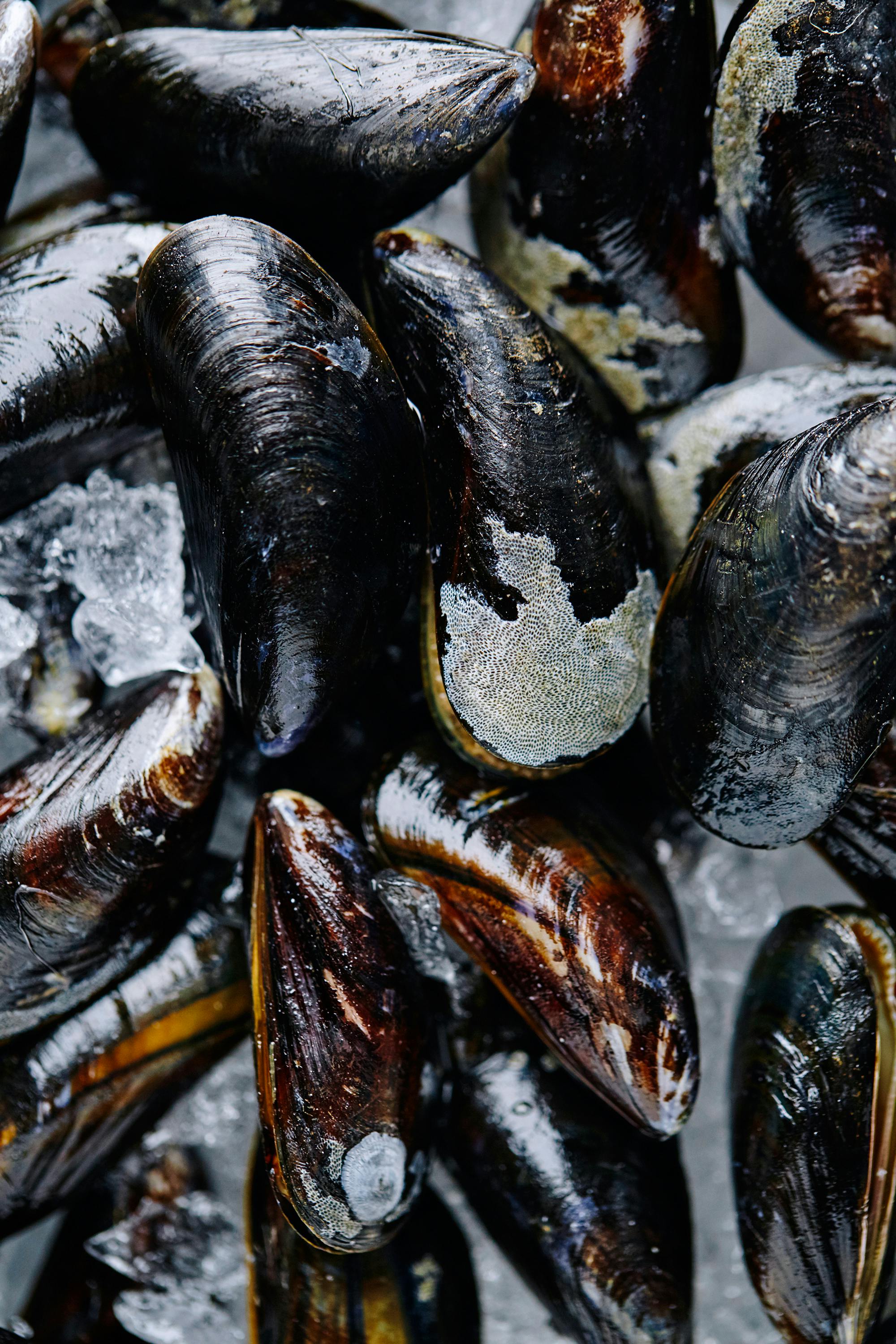 Improving norovirus detection in shellfish to protect public health and ...