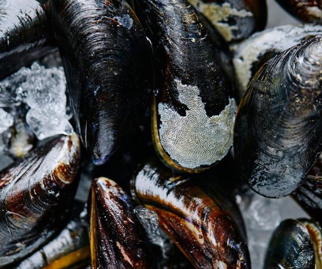 Improving norovirus detection in shellfish to protect public health and ...